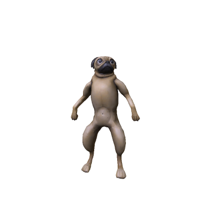 Cute Standing Dog Funny Troll Meme Animal