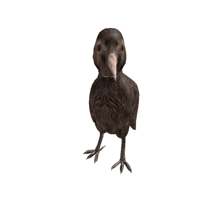 Avatar de kiwi - Roblox
