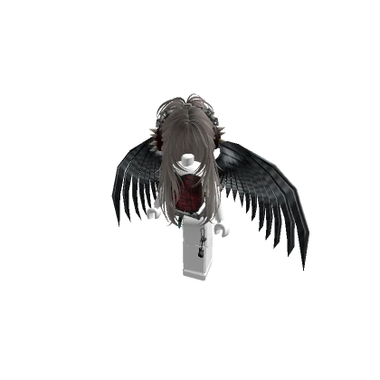 nonsensica | Roblox Inventory History - Rolimon's