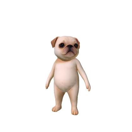 Pibbles dog