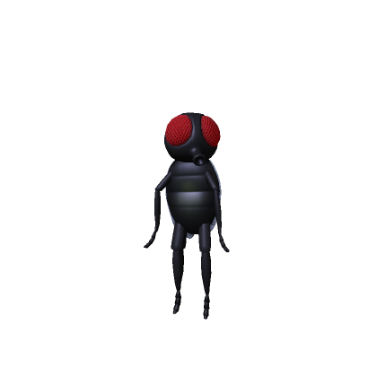 Mini Fly