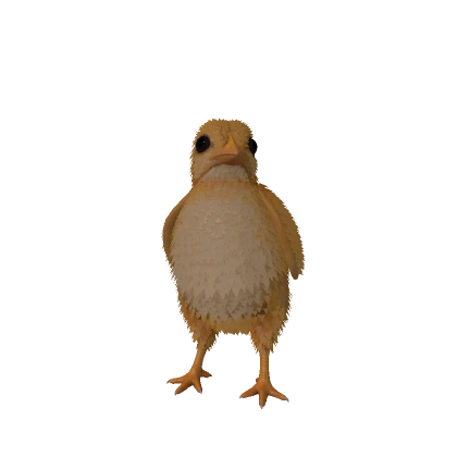 Adidas Gallo Gallo - Roblox