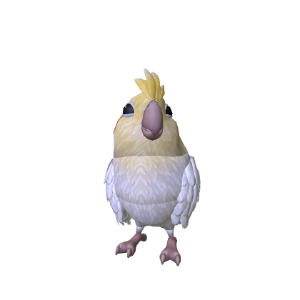Parrot