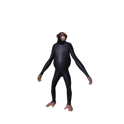 Chimpanzé
