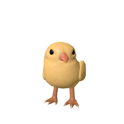 Baby Chicken