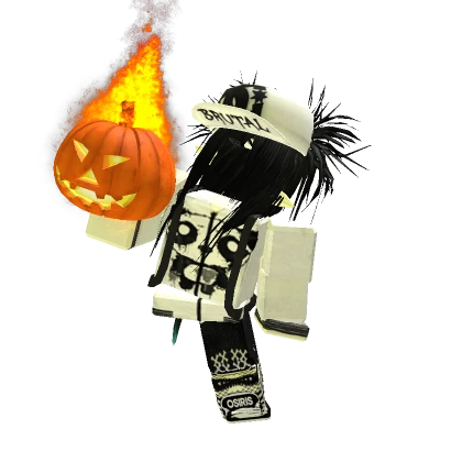 connerbosar1 | Roblox Inventory History - Rolimon's