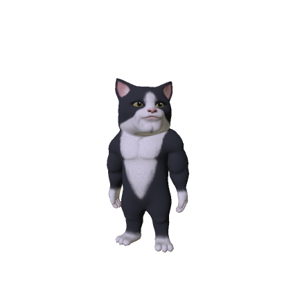 Handsome Cat