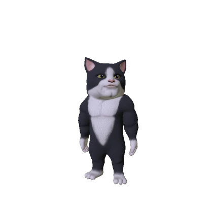 Handsome Cat