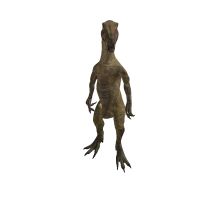 Velociraptor