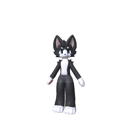 Black Kemono Cat Bundle