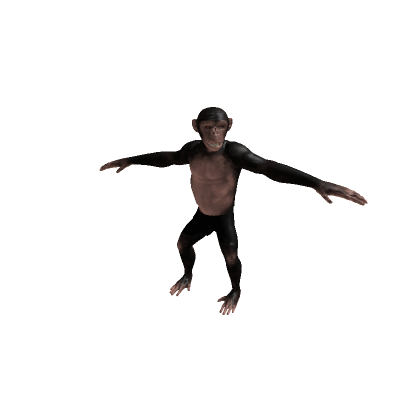 Goofy Monkey - Roblox