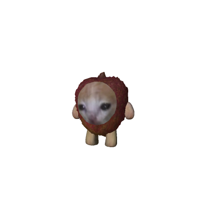 Mini Lychee Cat