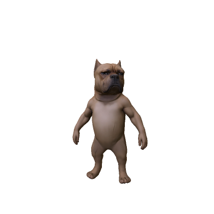 Perro Kalzoski