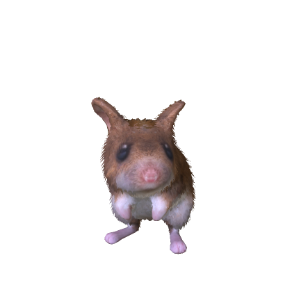 Fluffy Mouse