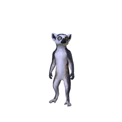 Lemur