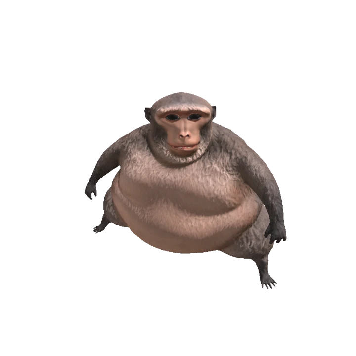 Ferran - Roblox