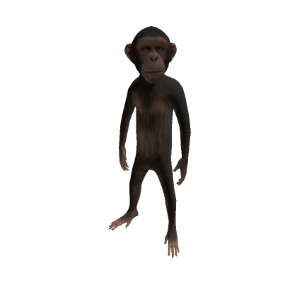 Macaco Épico - Roblox