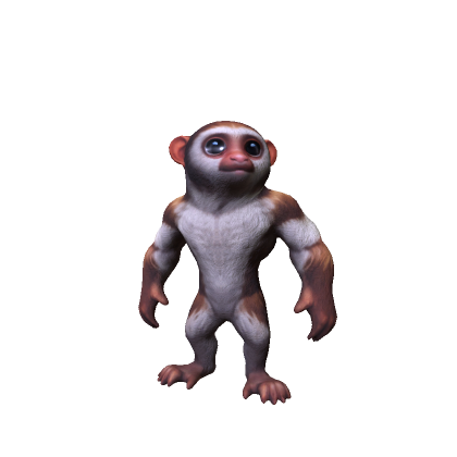 Cute Mini Marmoset