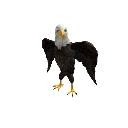 Eagle Avatar - Roblox