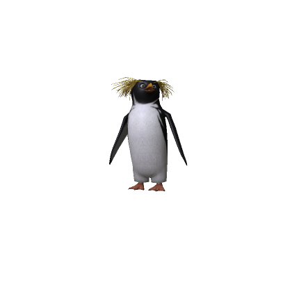 Cody Penguin