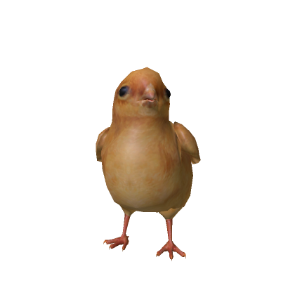 Realistic Baby Chicken