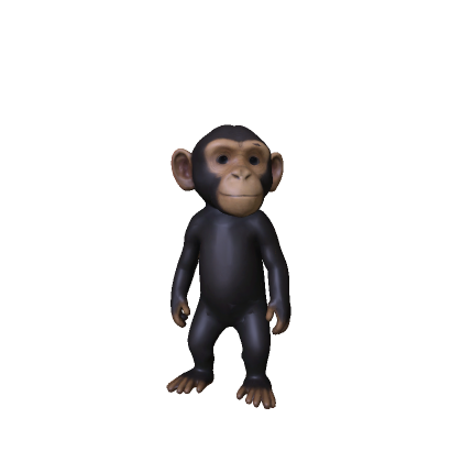 Monkey