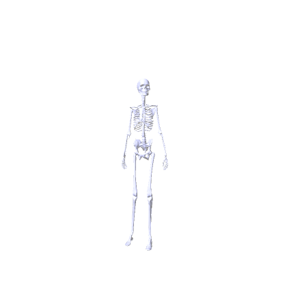 Sentinel_Avatar_23_Skeleton(1)