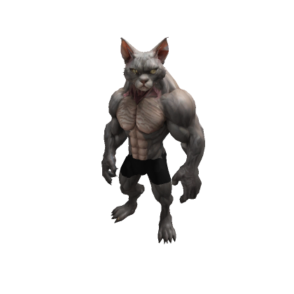 Ripped Muscle Cat
