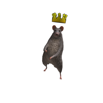 RDub - Roblox