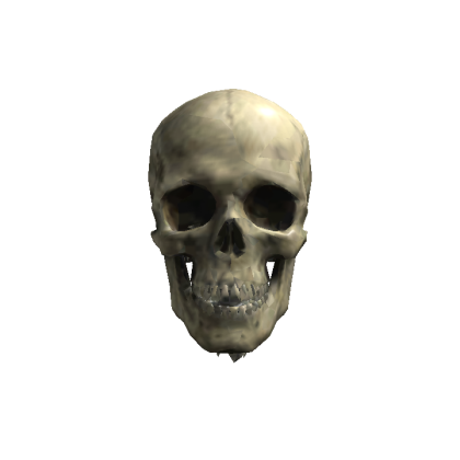 Cabeza de calavera realista