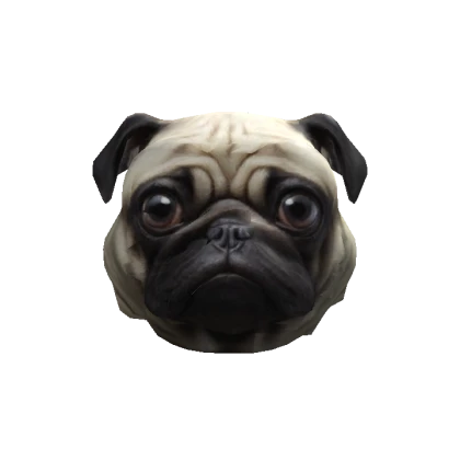 Lil Pug - Roblox