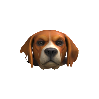 Cabeza de perro Beagle
