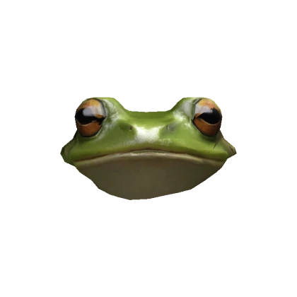 Frosch – Roblox