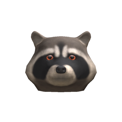 Raccoon - Roblox