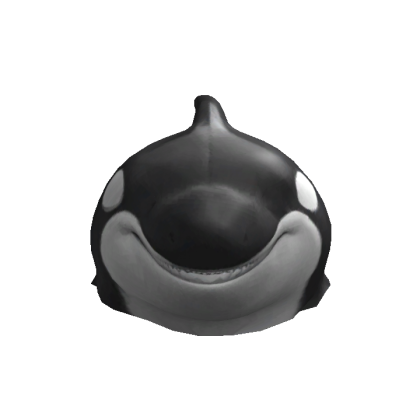 Orca Ocean Head Animal