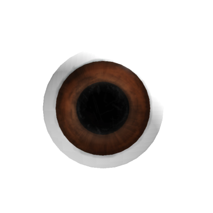 eye recolor 3 - Roblox