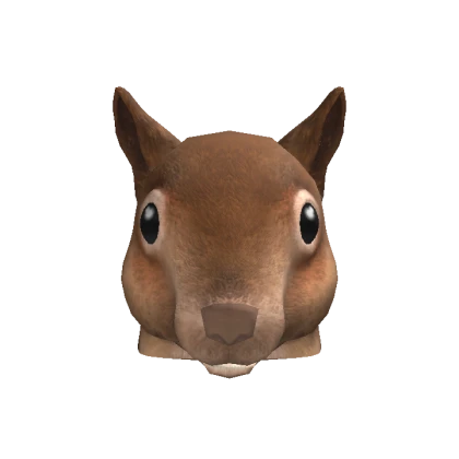 Squirrel - Roblox