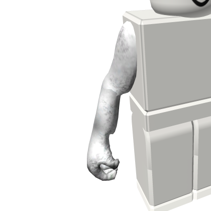 diego - Roblox