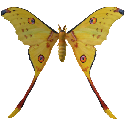Comet Moth | Roblox Item - Rolimon's