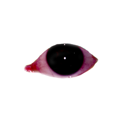 weirdcore eye