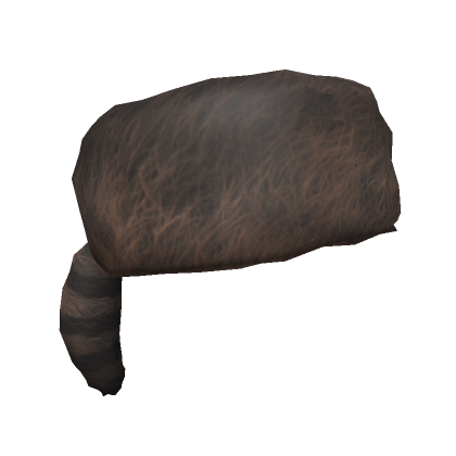 Racoon Hat | Roblox Item - Rolimon's