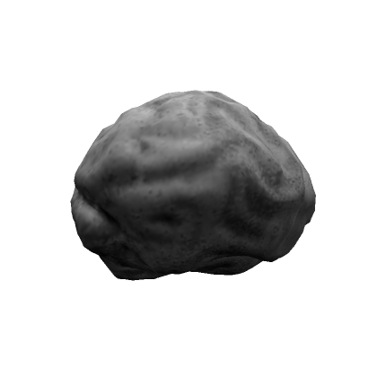 Gray Matter Brain (for headless) | Roblox Item - Rolimon's