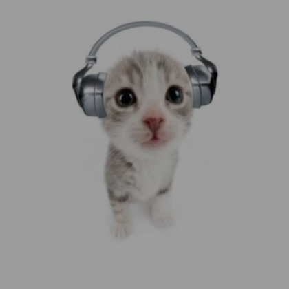 Cute Cat Headphones Pfp | Roblox Item - Rolimon's