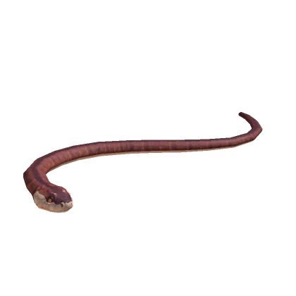 Snake Suit | Roblox Item - Rolimon's