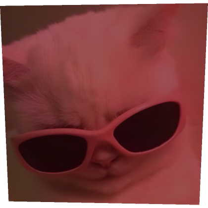 Cool Cat PFP | Roblox Item - Rolimon's