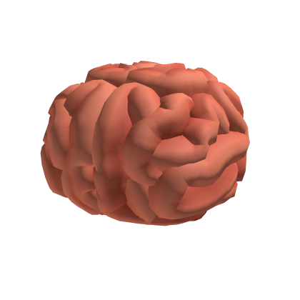 Brain Body - Roblox