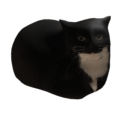 Maxwell Sit Head | Roblox Item - Rolimon's