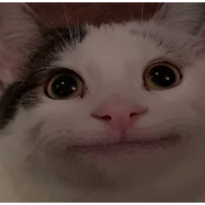 cat (profile picture) | Roblox Item - Rolimon's