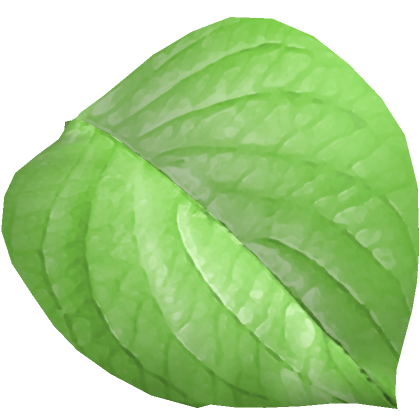 Leaf | Roblox Item - Rolimon's