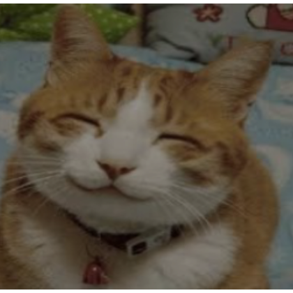 happy cat (profile picture) | Roblox Item - Rolimon's